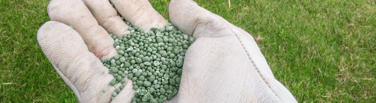 Green Sand Explained: Uses, Soil Benefits & Organic Alternatives ...