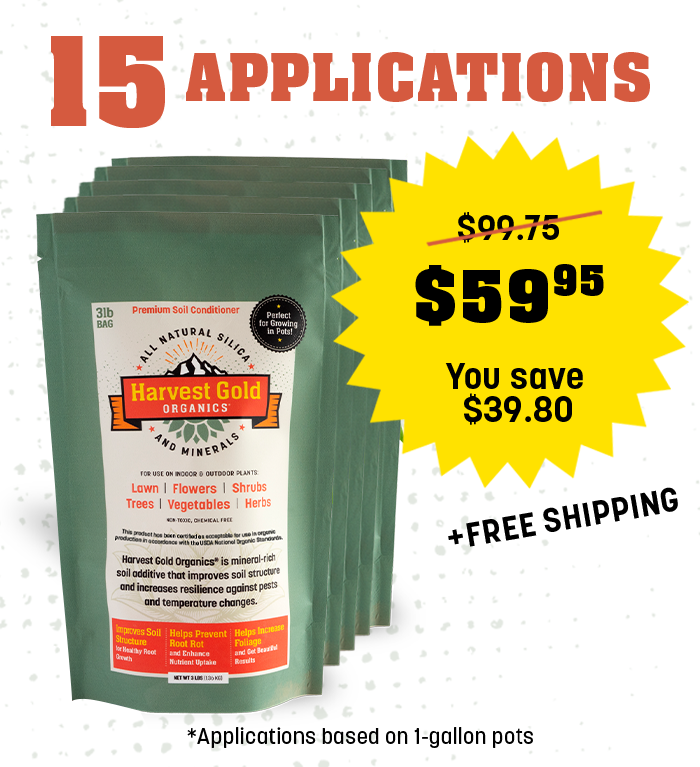 Low-Maintenance Plant Care Year-Round | Harvest Gold Organics