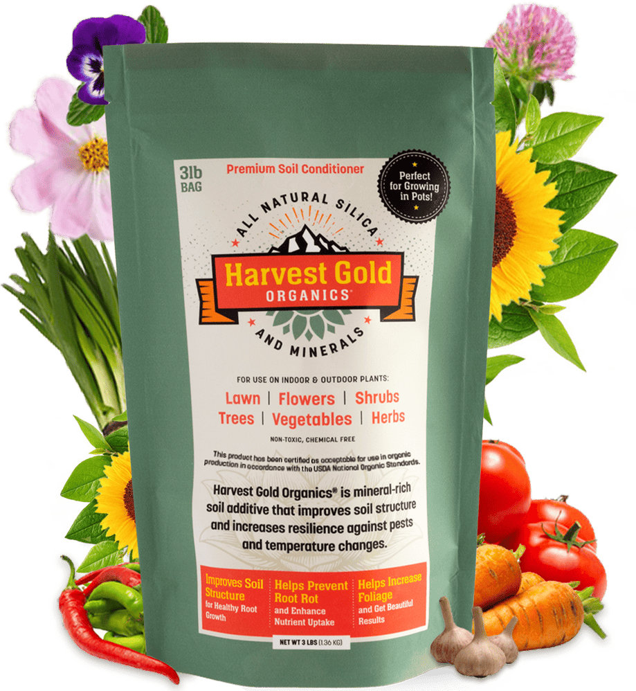 Low-Maintenance Plant Care Year-Round | Harvest Gold Organics